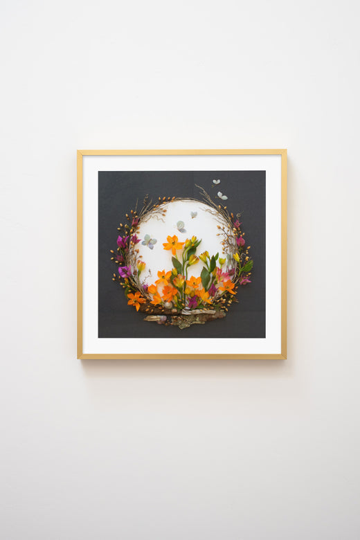 "Radiate" Flower Print – Sister Golden