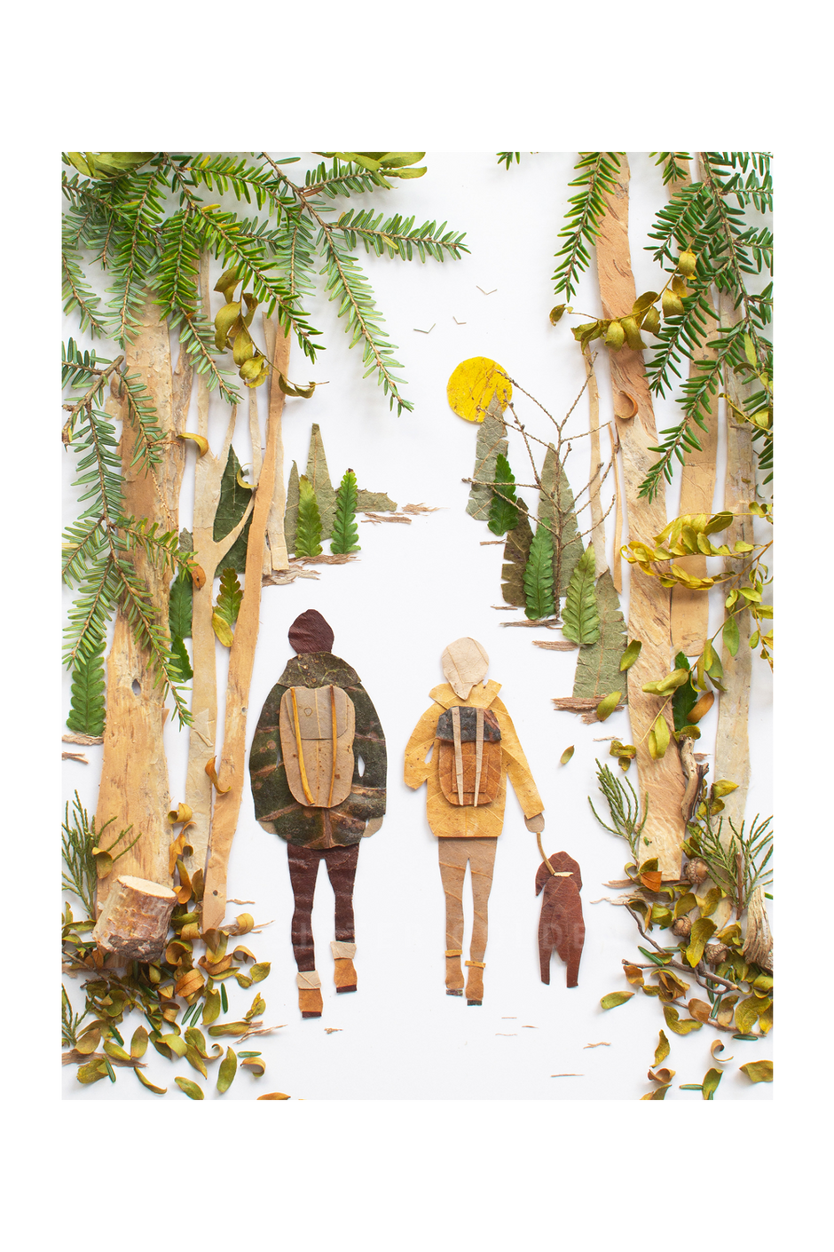 Flower Art Prints | Sister Golden